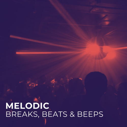 Melodic Breaks, Beats & Beeps Spotify Playlister | SubmitHub