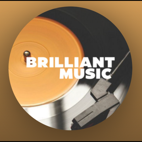Brilliant Music Spotify Playlister | SubmitHub